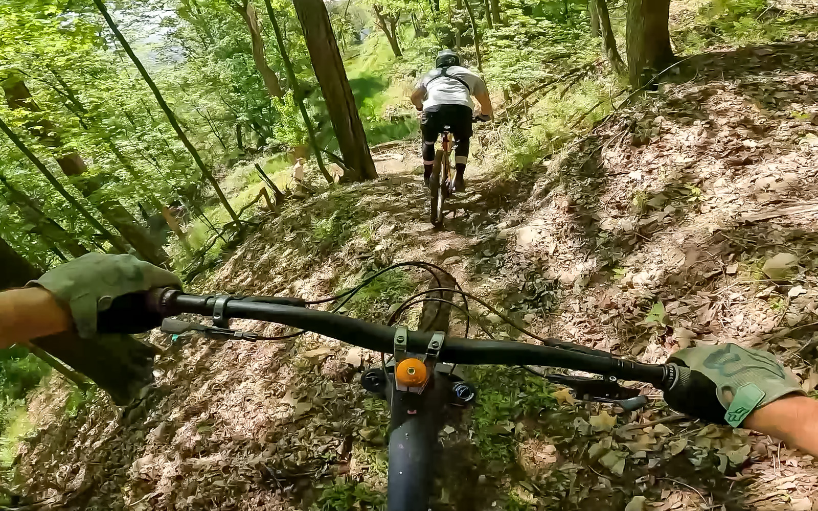 Visit Johnstown | Johnstown Pennsylvania Visitors Bureau